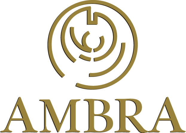 La Iniciativa Ambra – I12 Foundation